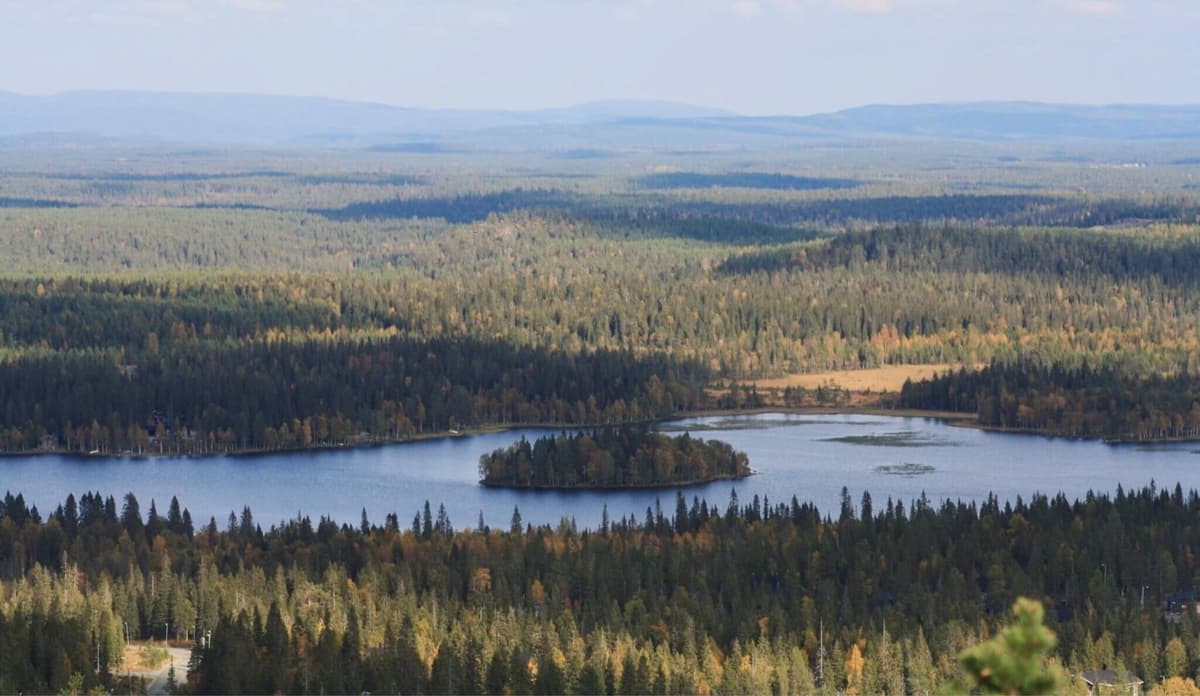 What it takes to build a green hydrogen plant in Finland | Power | H2 View