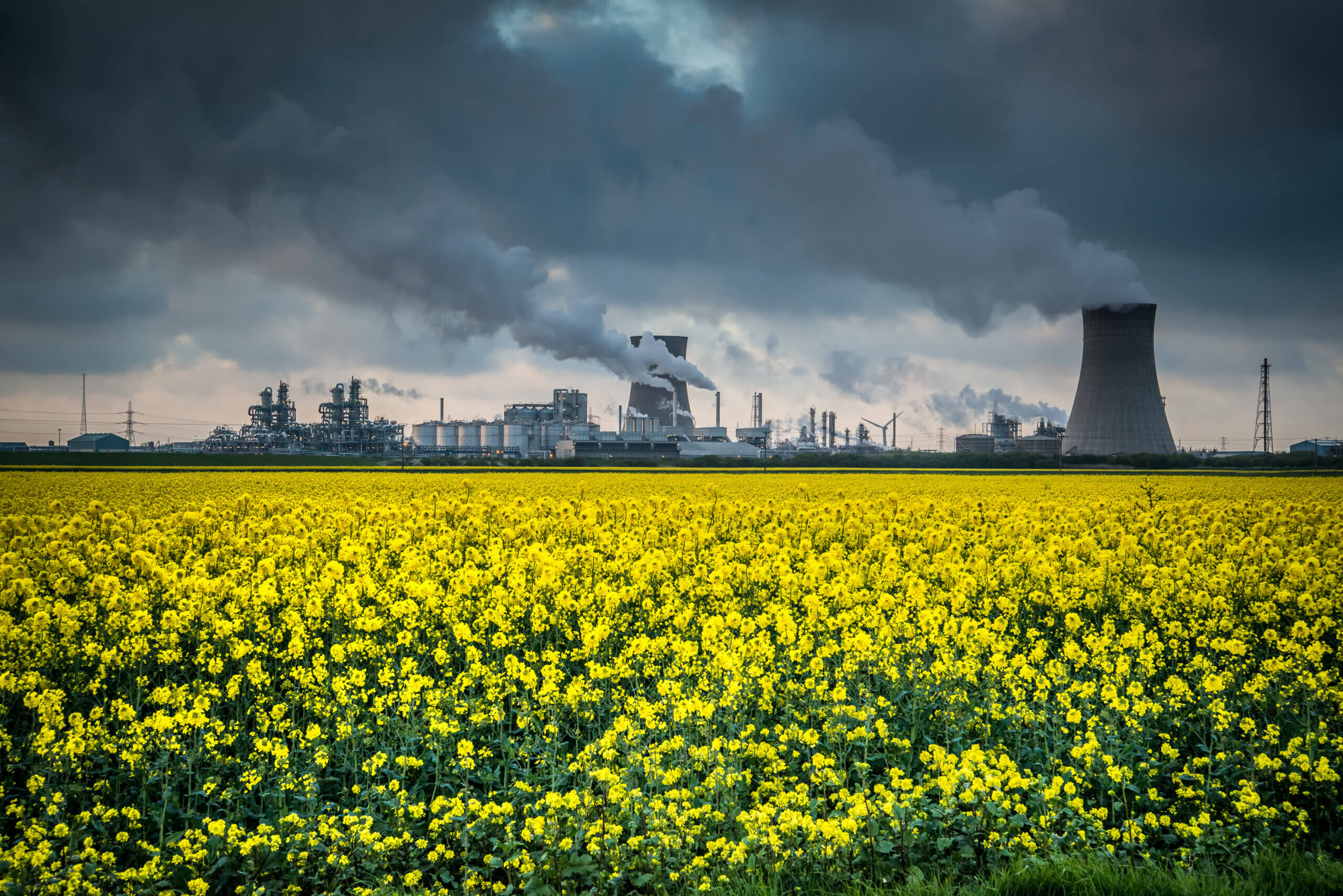 UK Net Zero Treasury Minister tours Humberside cluster – home to world ...