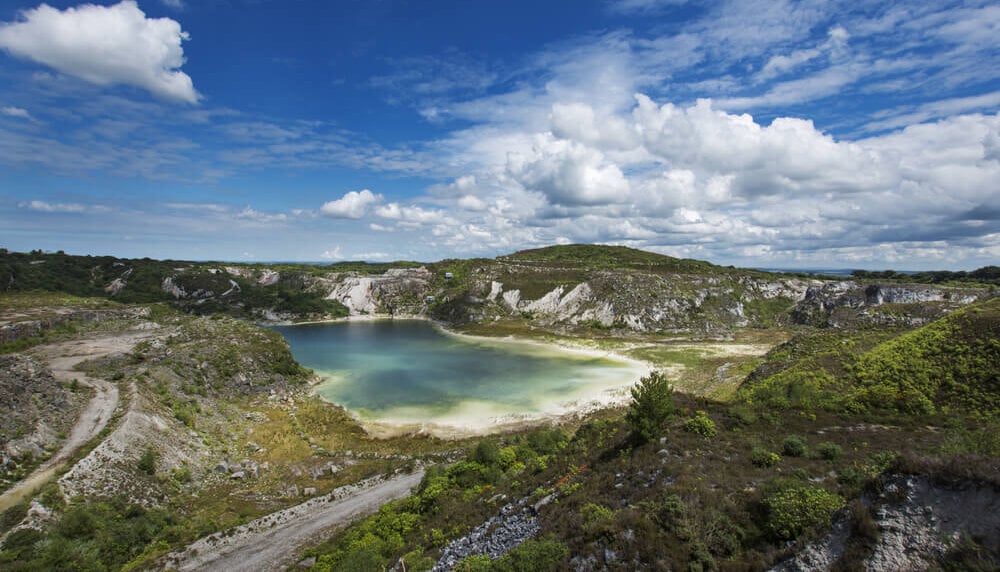 Swiss Life’s Vergia to fund UK green hydrogen projects, starting with ...